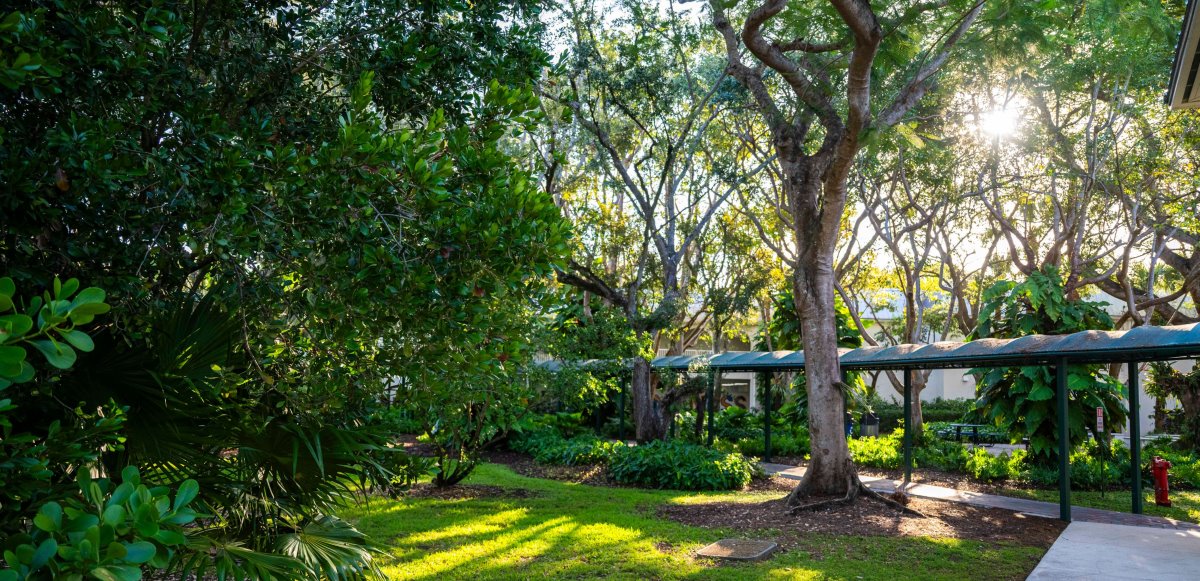 Upper School Open House | Calendar | Palmer Trinity School